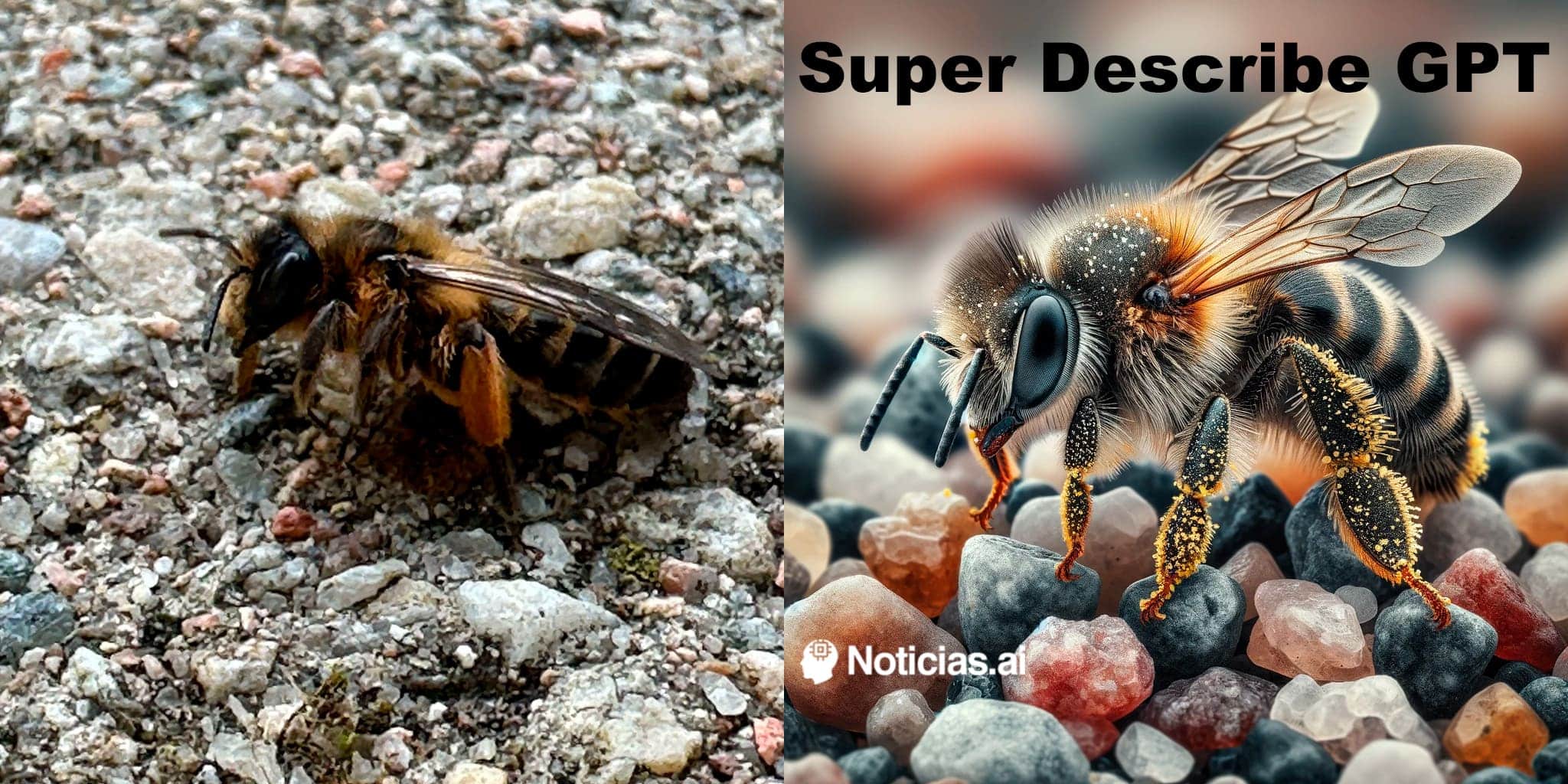 Super Describe GPT: Generar imágenes en base a imágenes reales con IA ...